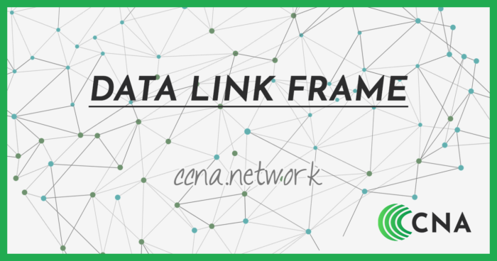Data Link Frame